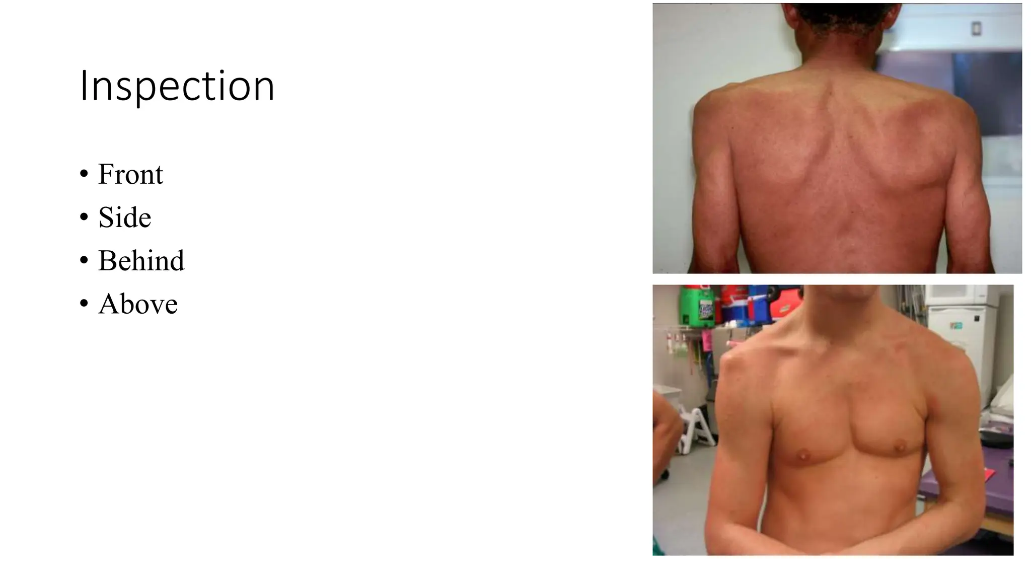 Shoulder joint examination.pptx by ortho | PPTX