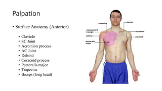 Shoulder joint examination.pptx by ortho | PPTX