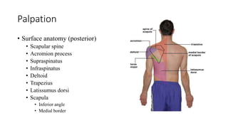 Shoulder joint examination.pptx by ortho | PPTX | Death, Injury, or ...