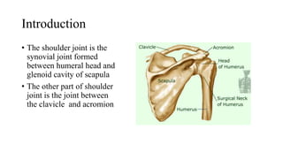 Shoulder joint examination.pptx by ortho | PPTX