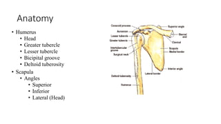 Shoulder joint examination.pptx by ortho | PPTX