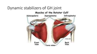 Shoulder joint examination.pptx by ortho | PPTX | Death, Injury, or ...