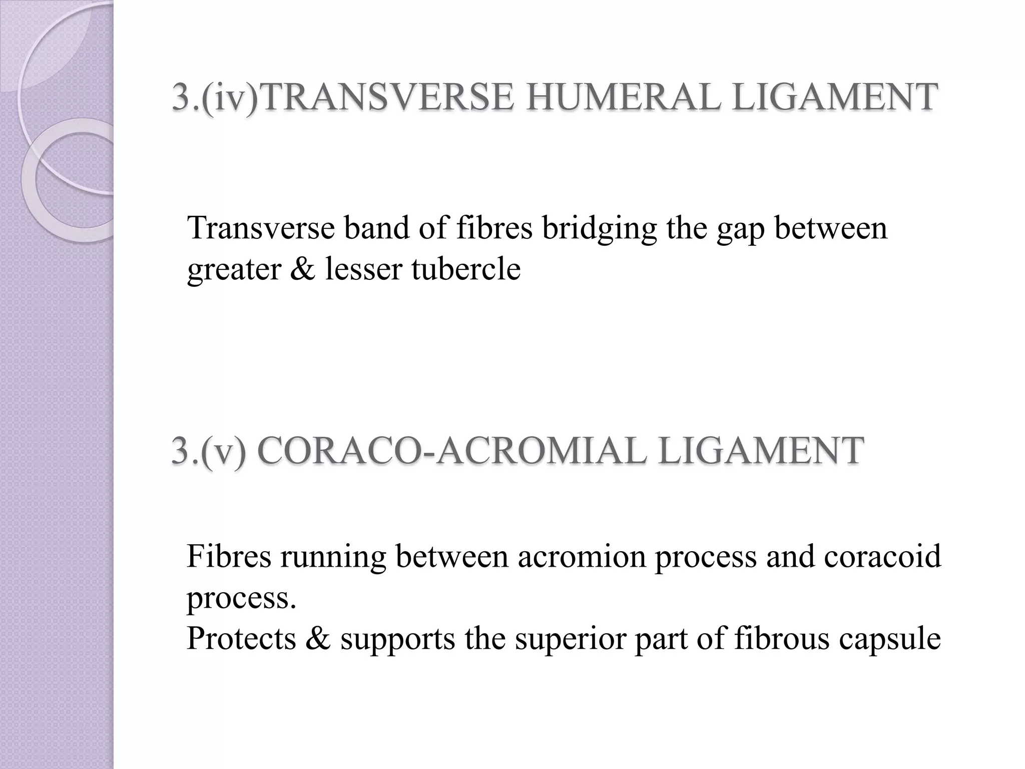 SHOULDER JOINT (I).pptx