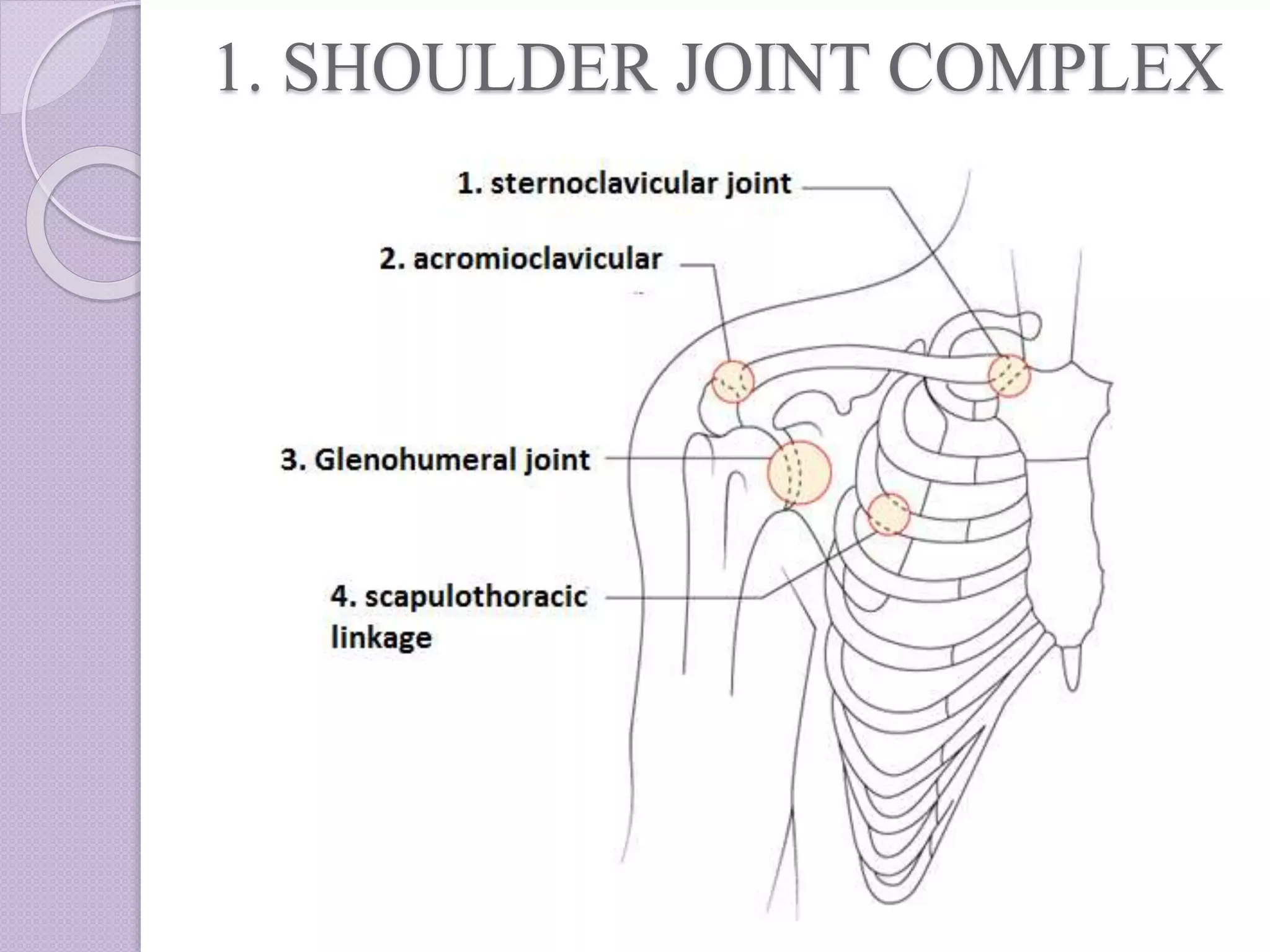 SHOULDER JOINT (I).pptx