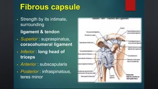 SHOULDER JOINT LIGAMENTS & CAPSULE-RADIOLOGY.pptx