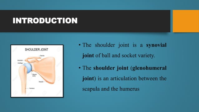 Shoulder joint_nursing.pptx