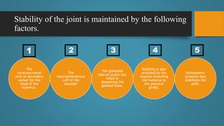 Shoulder joint_nursing.pptx