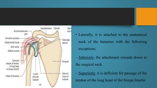 Shoulder joint_nursing.pptx