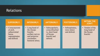 Shoulder joint_nursing.pptx