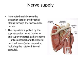 shoulder joints anatomy and clinical significance | PPT