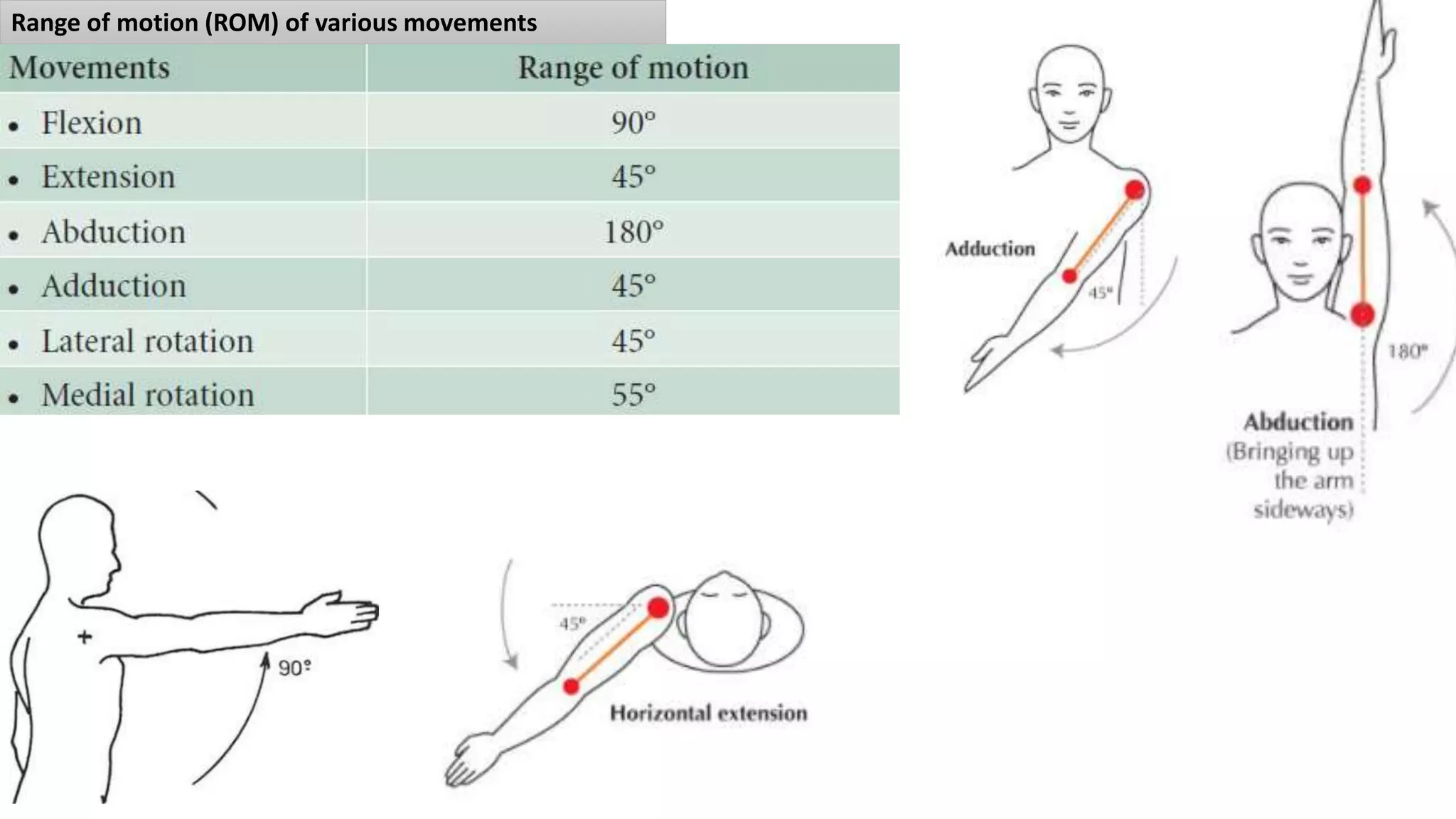 Shoulder joints ppt | PPTX
