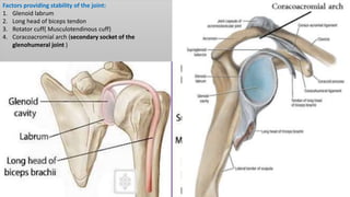 Shoulder joints ppt | PPTX