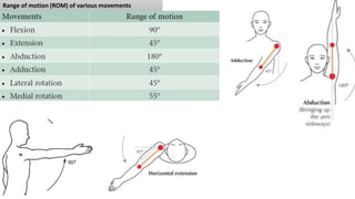 Shoulder joints ppt | PPTX