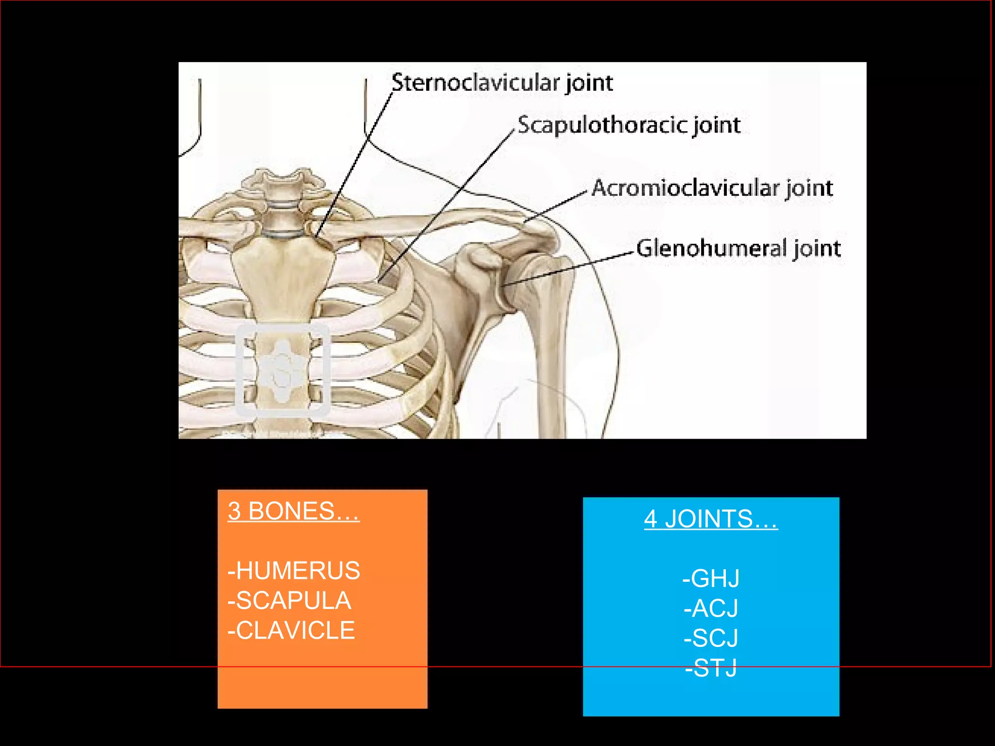 Shoulder joint xray & usg by Dr Soumitra Halder | PPT