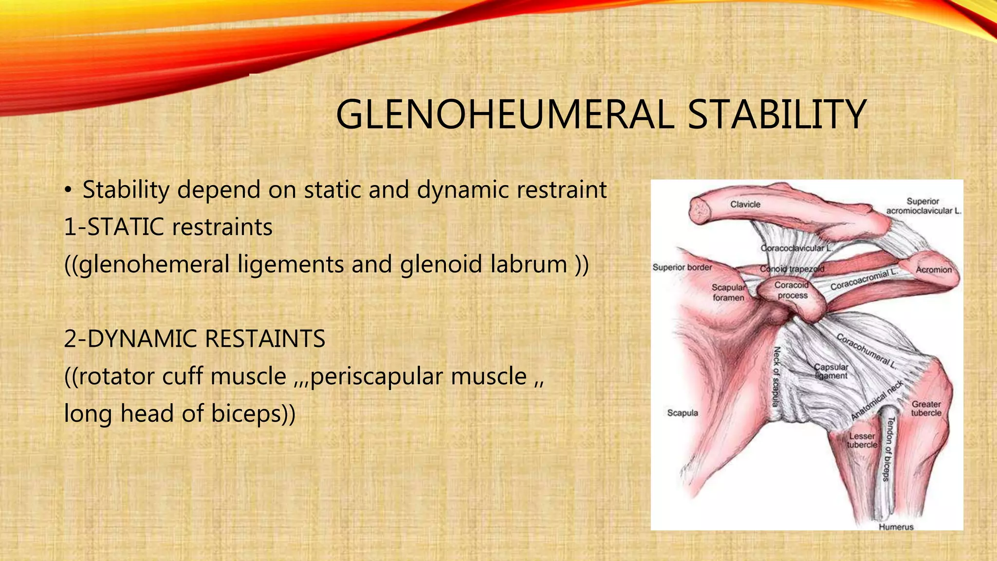 Shoulder orthopedic disorders (dr.farouk) | PPTX