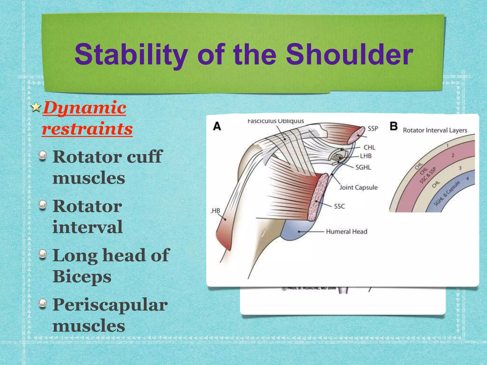 Shoulder pain | PPTX