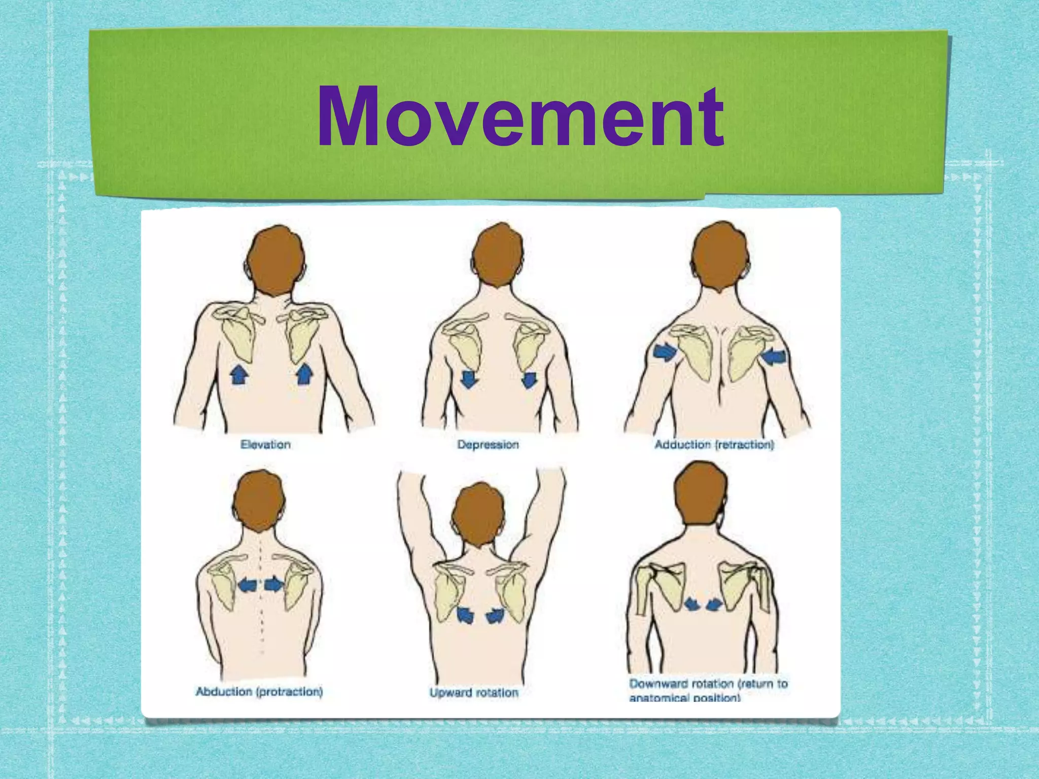 Shoulder pain | PPTX