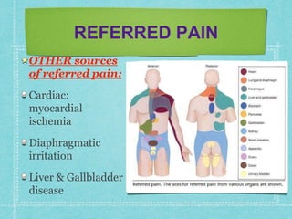 Gallbladder Referred Pain
