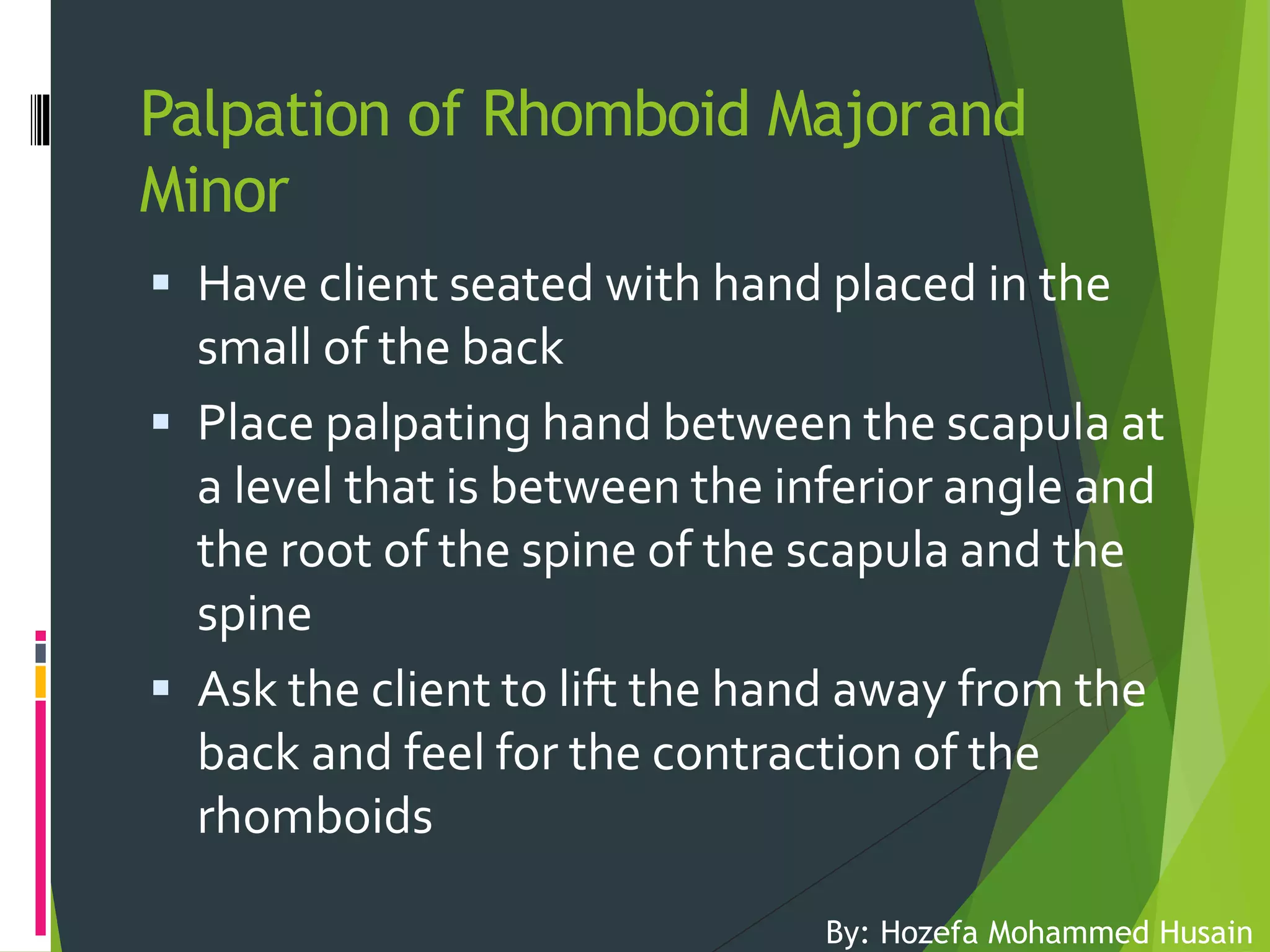 Shoulder Palpation Technique for Shoulder Muscles | PPTX