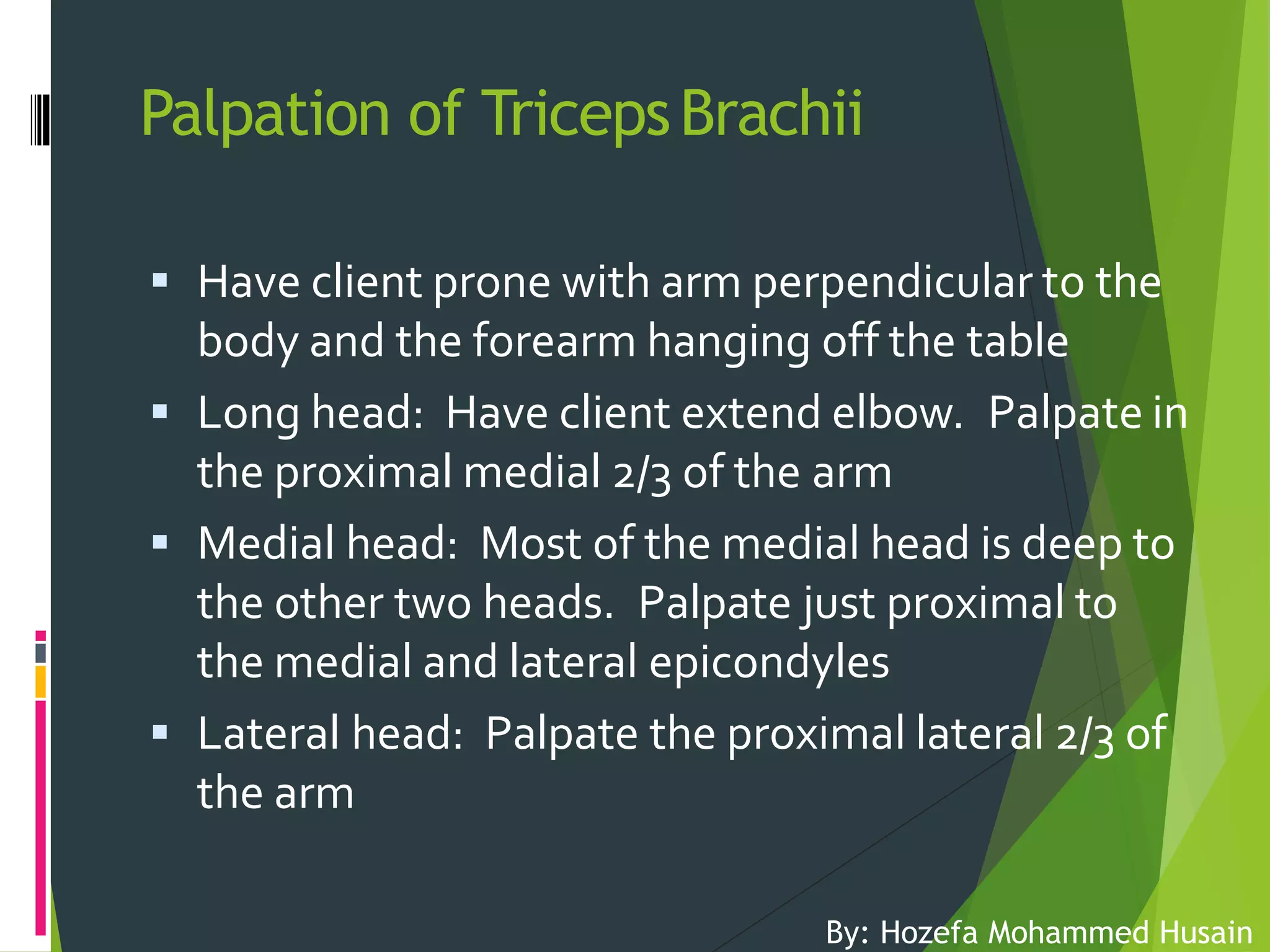 Shoulder Palpation Technique for Shoulder Muscles | PPTX