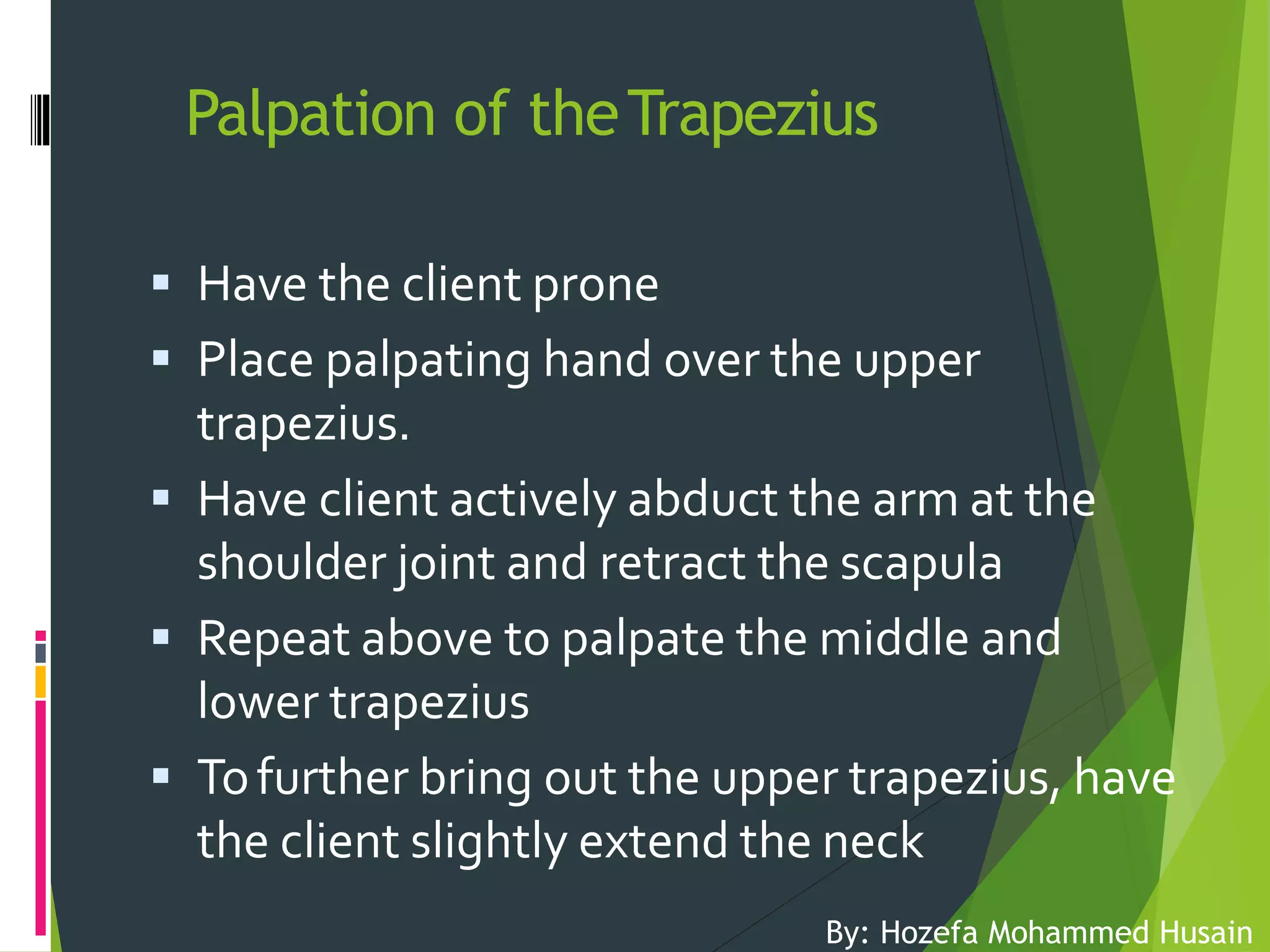 Shoulder Palpation Technique for Shoulder Muscles | PPTX