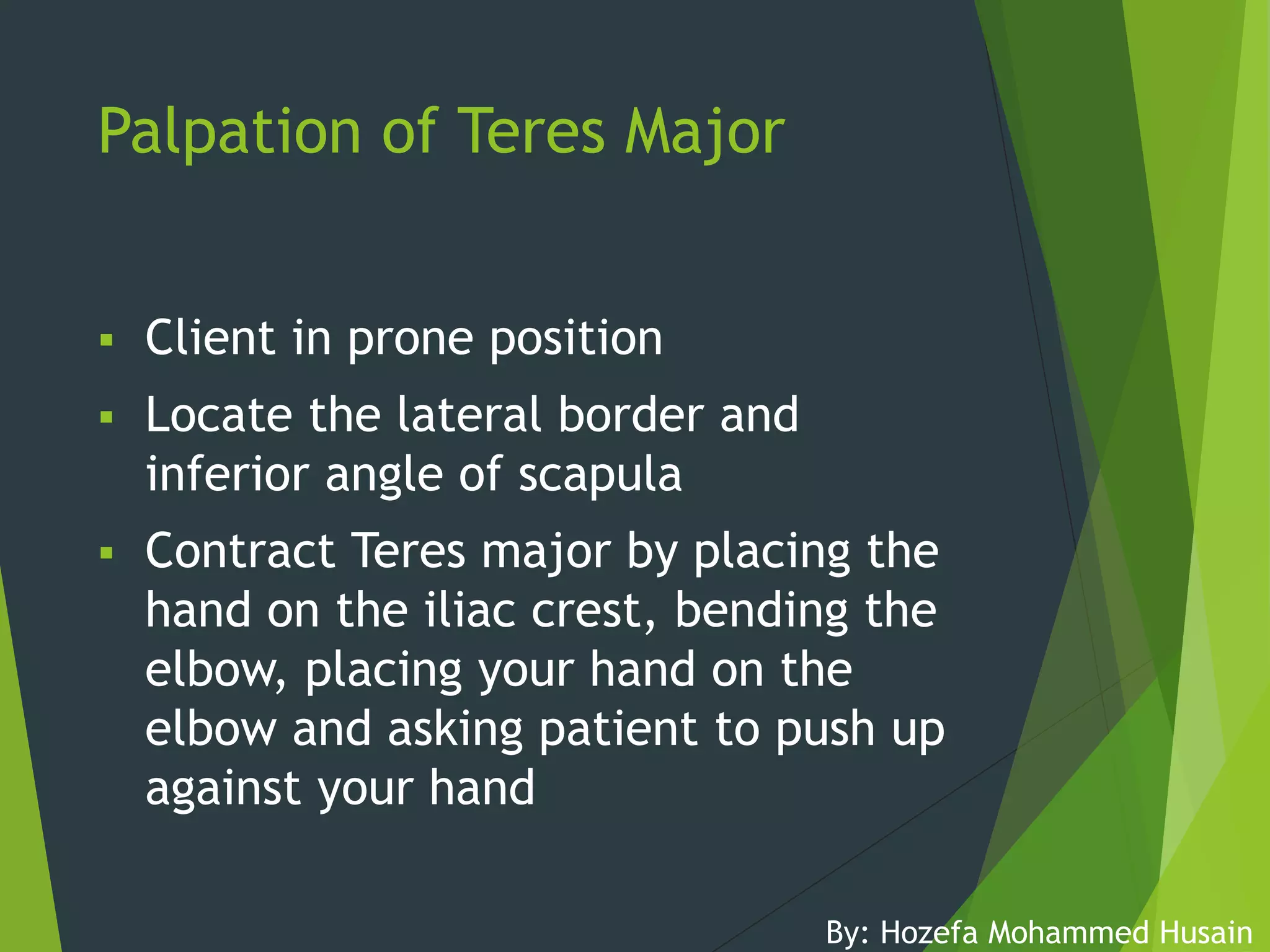 Shoulder Palpation Technique for Shoulder Muscles | PPTX