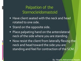 Shoulder Palpation Technique for Shoulder Muscles | PPTX | Death ...