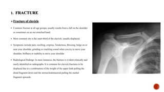 shoulder patho.pptx