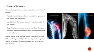 shoulder patho.pptx