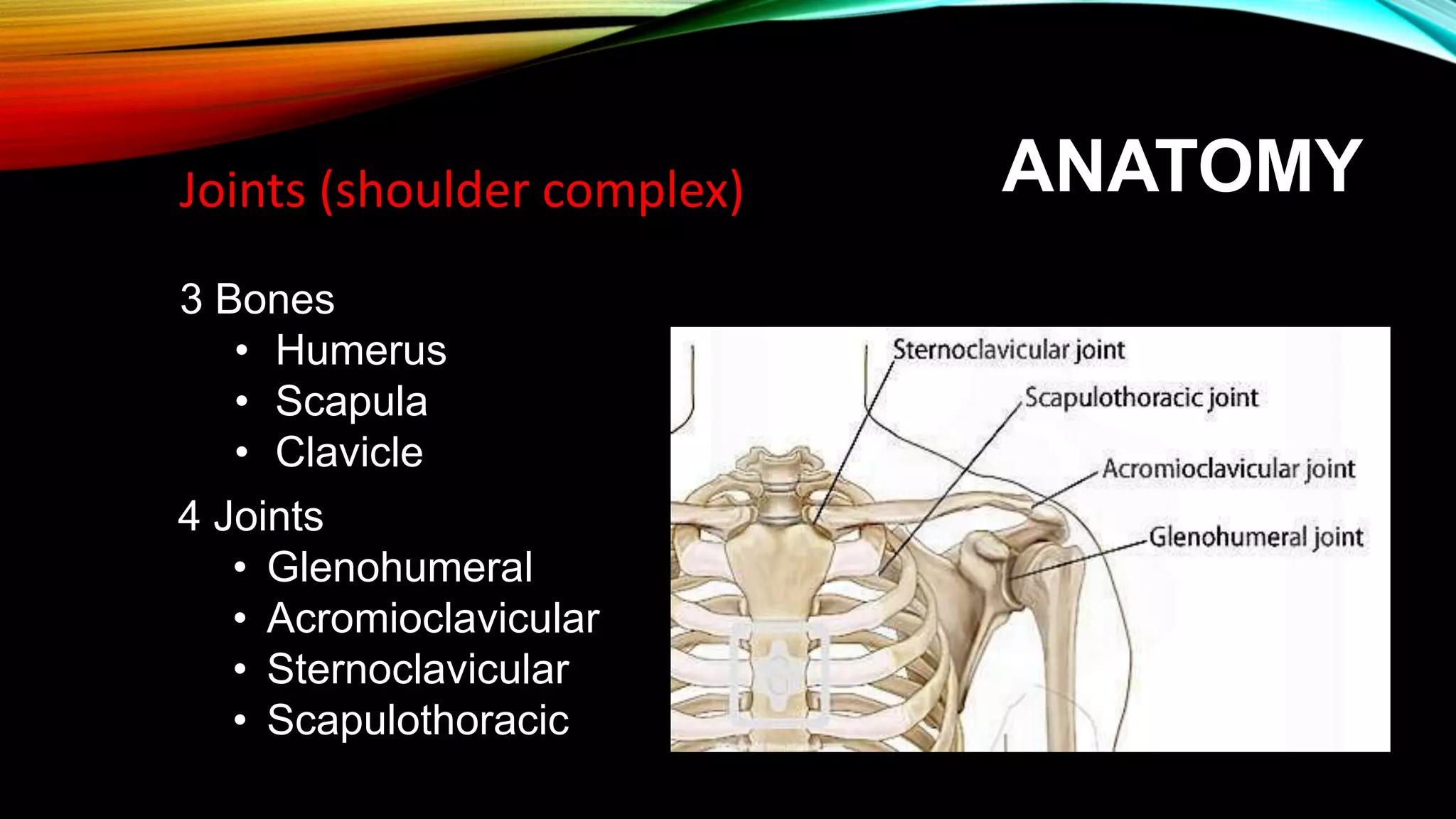 Shoulder pathologies | PPTX
