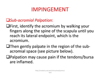 Shoulder pathomechanics | PPTX