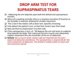 Shoulder pathomechanics | PPTX