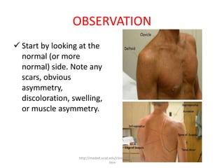 Shoulder pathomechanics | PPTX