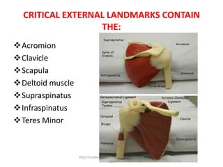 Shoulder pathomechanics | PPTX