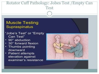 Shoulder Joint Examinitaion | PPTX