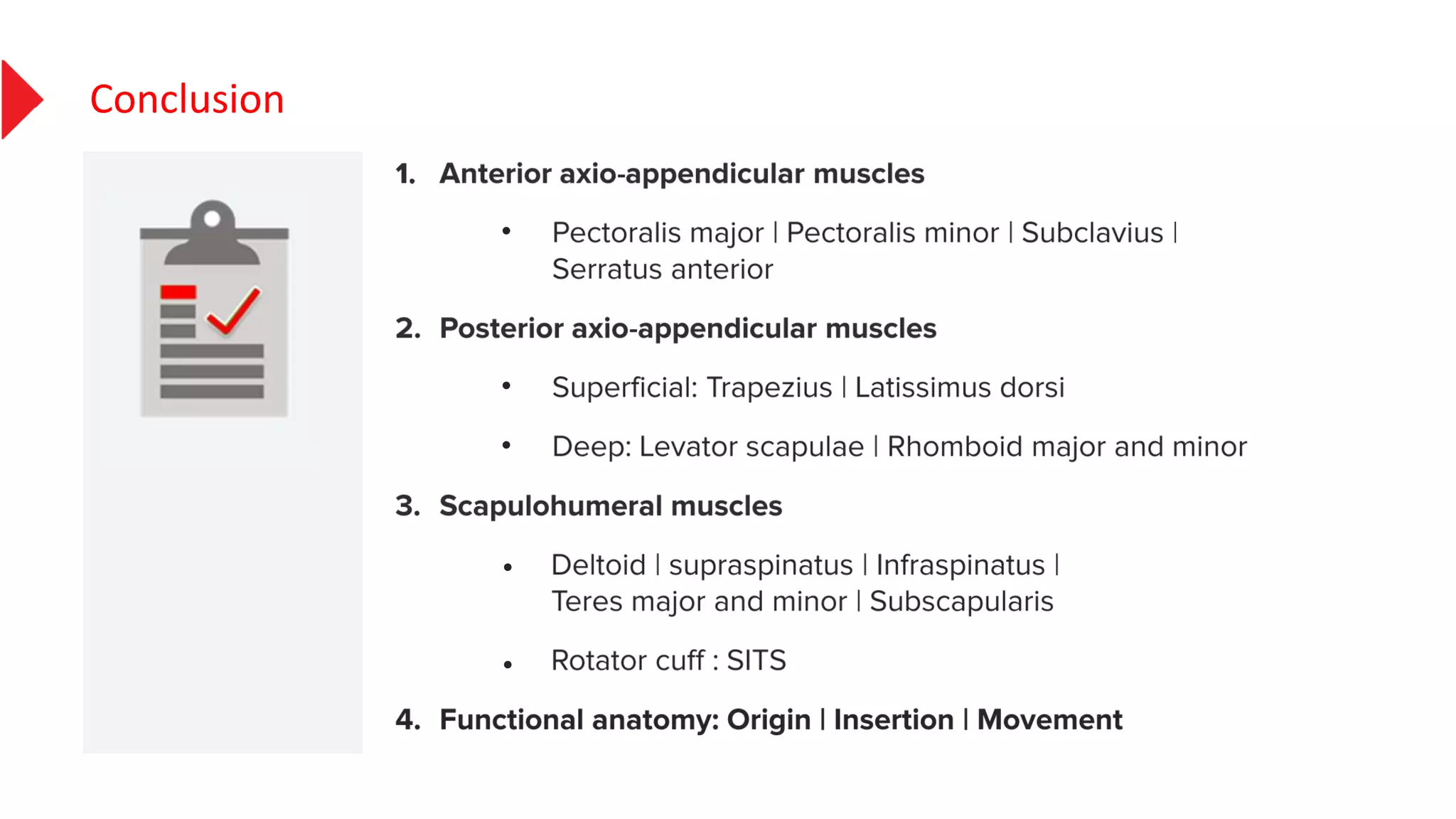 The Shoulder region | PPT