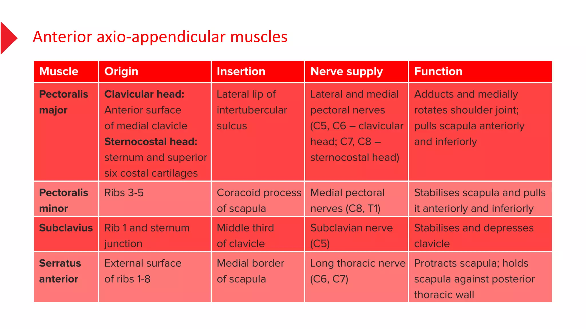 The Shoulder region | PPT