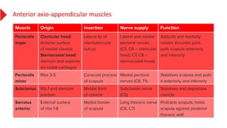 The Shoulder region | PPT