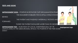 shoulder regional conditions presentation | PPTX
