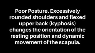 Shoulder Rehabilitation Exercises.pdf