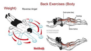 Shoulders and back week 3 practical | PPTX