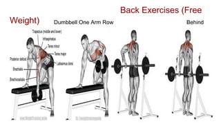 Shoulders and back week 3 practical | PPTX | Physical Therapy | Wellness