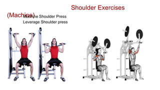 Shoulders and back week 3 practical | PPTX | Physical Therapy | Wellness