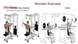 Shoulders and back week 3 practical | PPTX