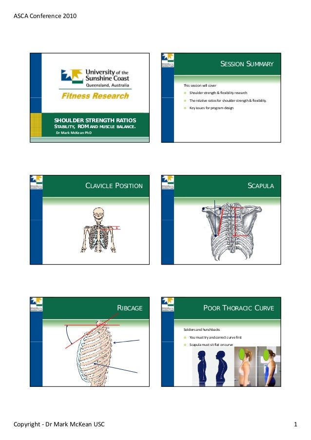 Shoulder strength ratios – stability, rom and muscle balance.