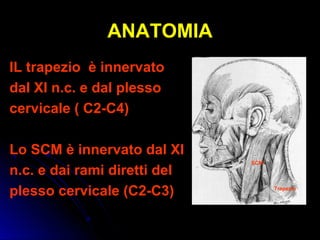 Shoulder syndrome | PPT