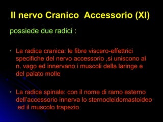 Shoulder syndrome | PPT