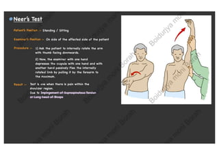Shoulder Special Tests Guide + Diagnosis | PPTX