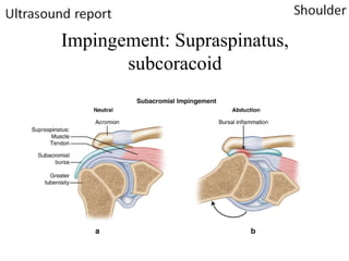 Shoulder ultrasound report | PDF