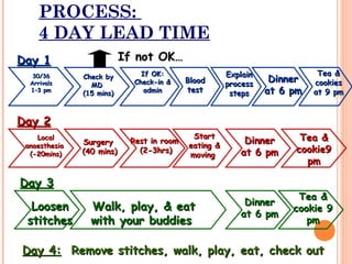 Shouldice - A great success in service delivery | PPT